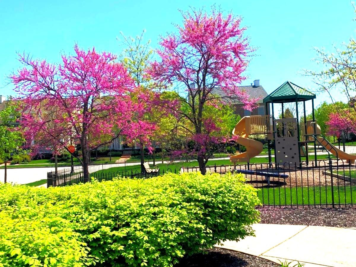 Executive Director Announcement