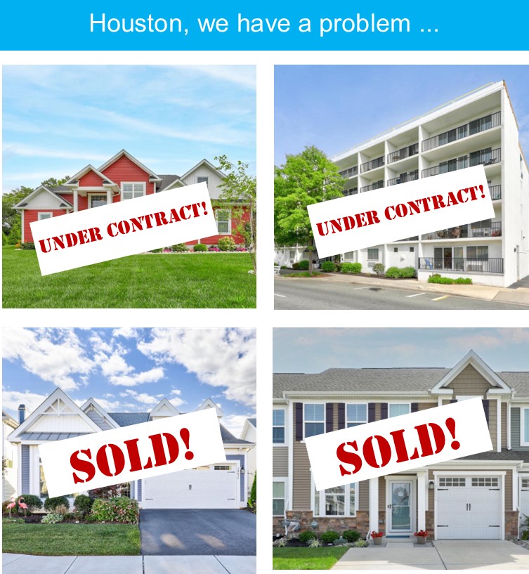 Buzz the Beach - Bee in the Know! Vol 17 - Issue 7