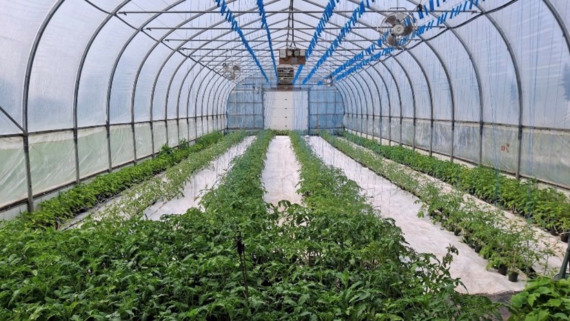 Atlantic Agrology Network Newsletter - October 2025