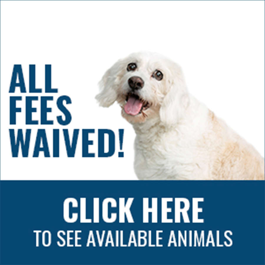 News from Calvert County Government