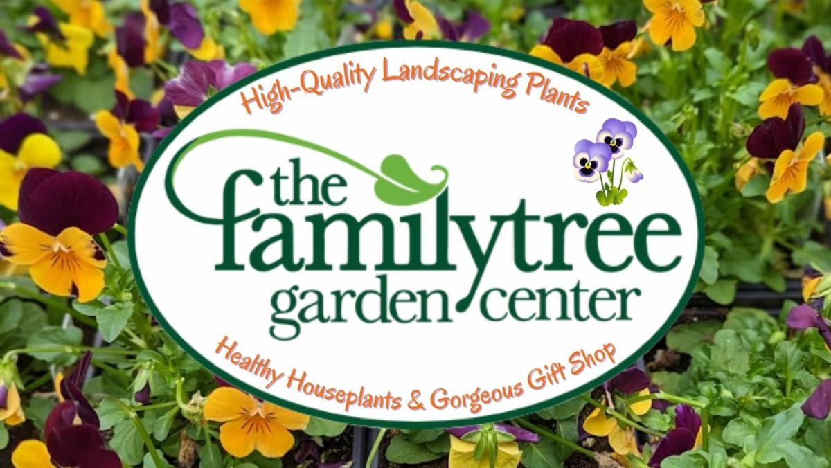 🍁 Fall Sales Continue: Pansies, Shrub Roses, Veggies, and More