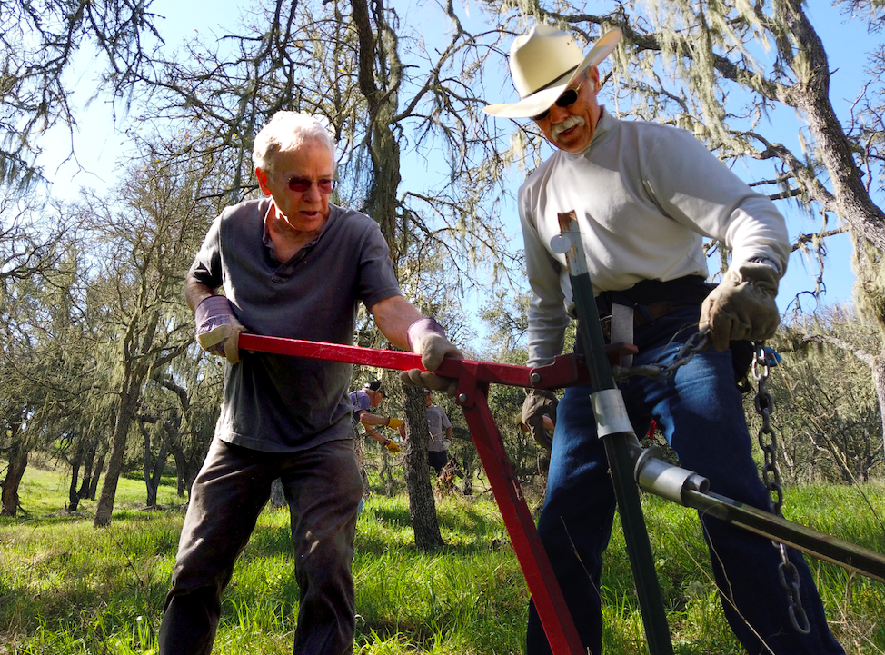 News from Sedgwick Reserve