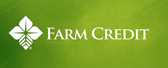 The Farm Credit System's Information Statements