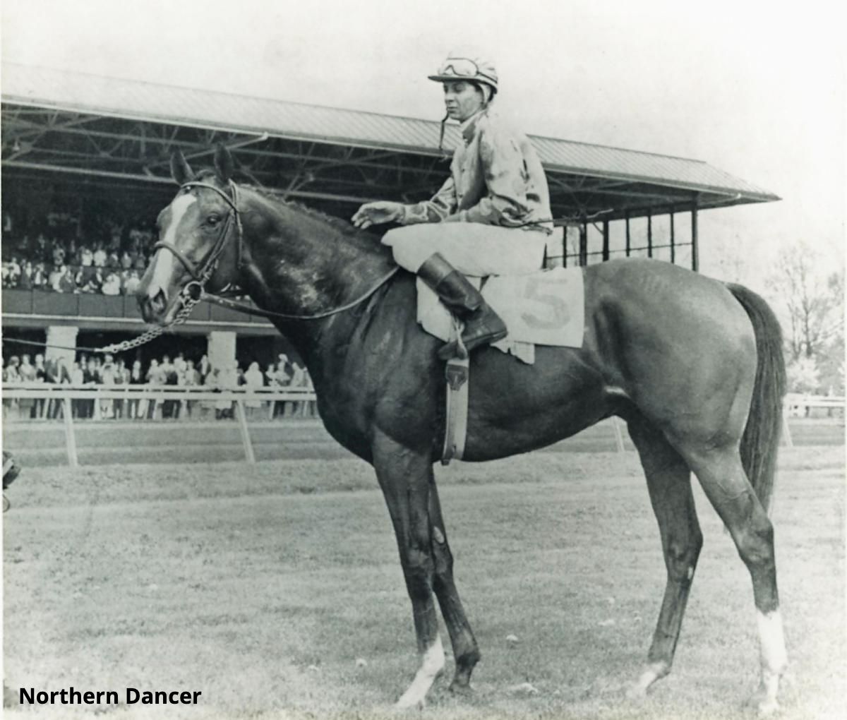 Xtra newsletter | Breeding: revolving doors