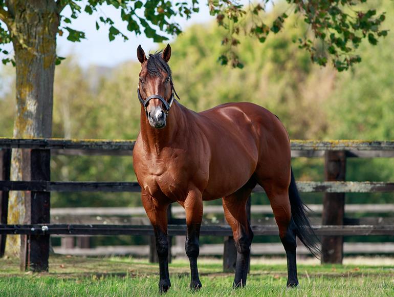 Xtra newsletter | Breeding: revolving doors