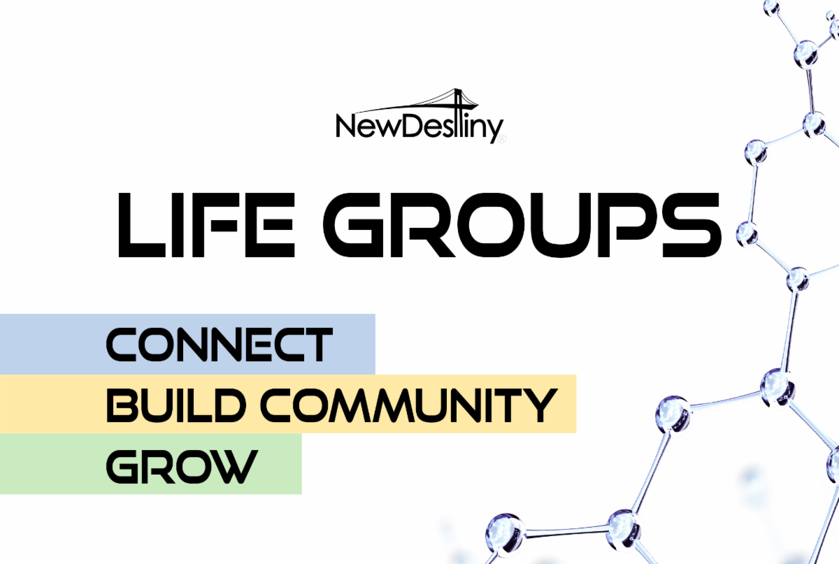 Life Groups