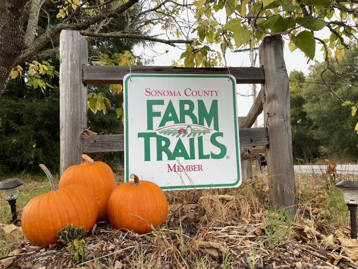 2021 Along the Farm Trails