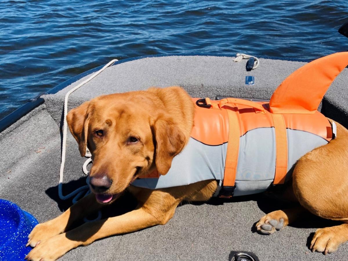 Latest News from Aspirus