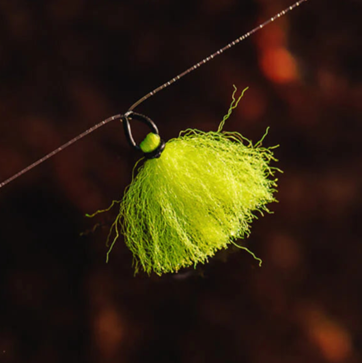 New Products, fishing updates, and more!