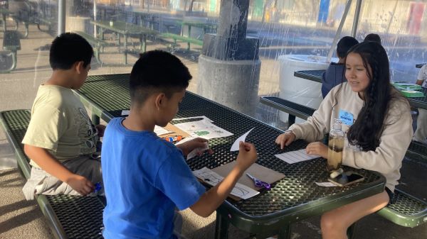 🌳Creating Roots and Growing Shoots