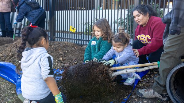 🌳 Tree Cheers for RCSD!