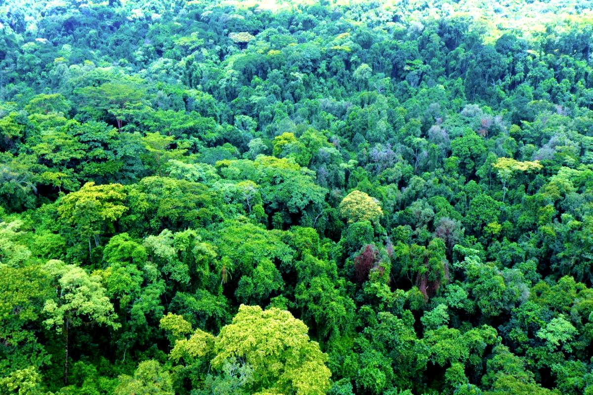 New York Climate Week Edition