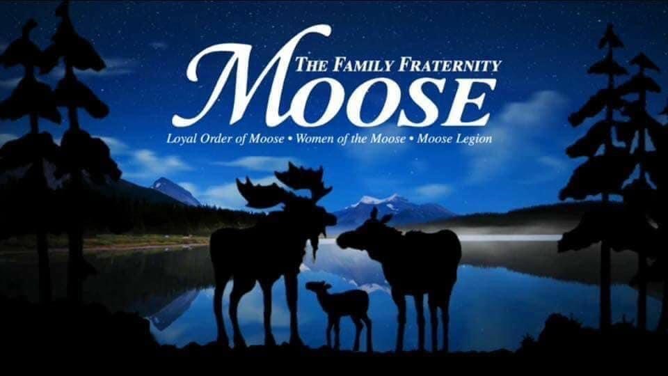 Moose Highlights for the Week of 6/8/2026