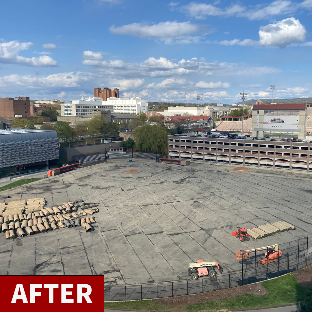 Cornell Bowers CIS News May 2023