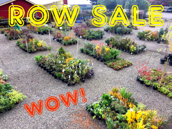It's ALL about the Row Sale!!