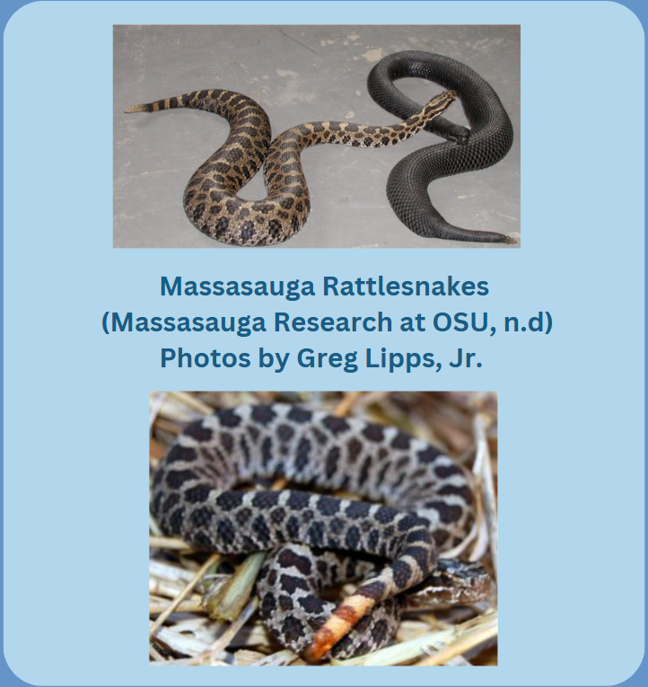 Poison Pearls - July 2025