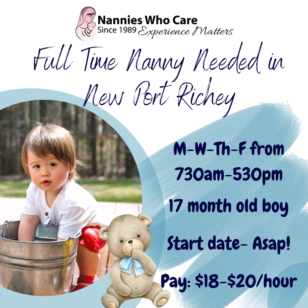 Full Time Nanny Needed in New Port Richey