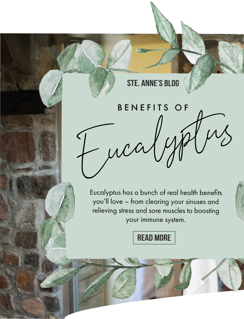Health Benefits of Eucalyptus | New Wellness at Home Video Series Health Benefits of Eucalyptus | New Wellness at Home Video Series