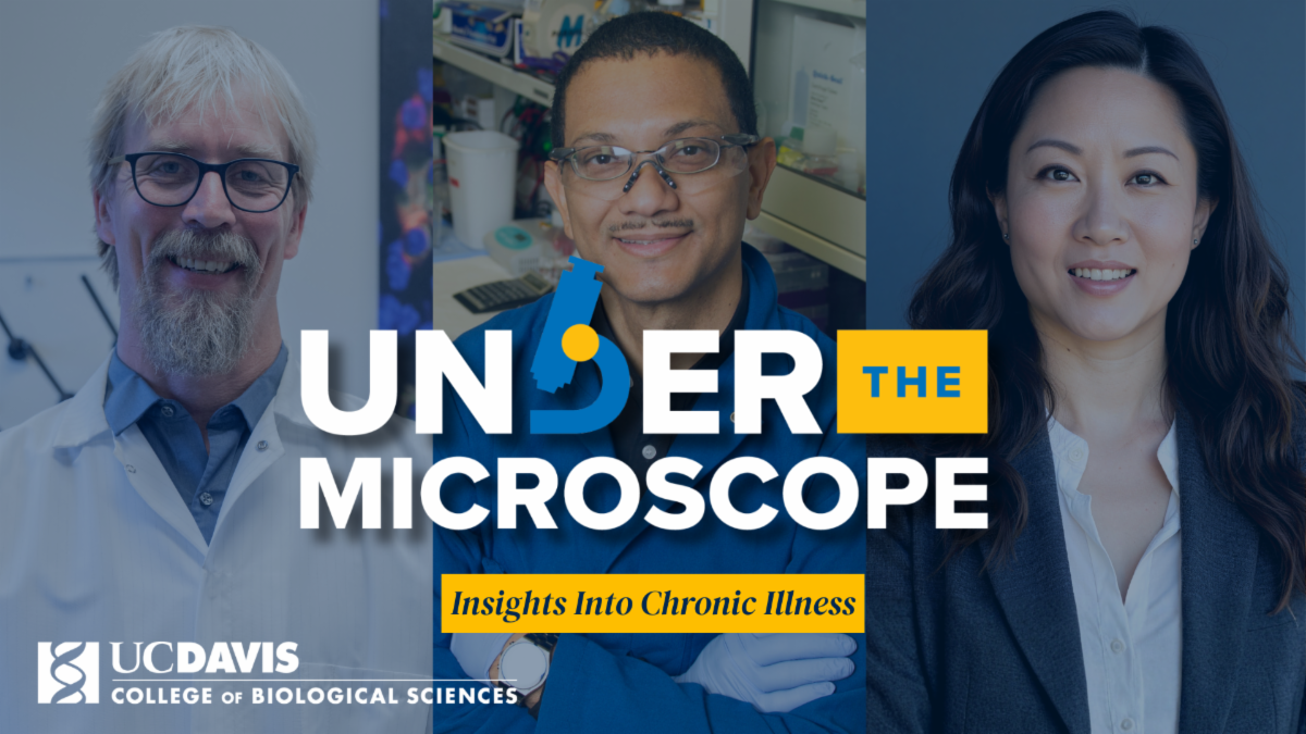Reminder - Under the Microscope: Insights into Chronic Illnesses