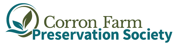 Short Video of our Early 1900's Vintage Holiday Postcards Corron Family ...