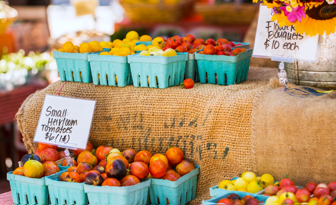 Concierge Newsletter: Winter Escapes, Miami Spice, Cirque du Soleil, and More...