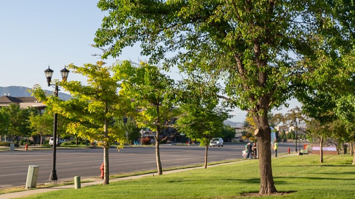 Reminder: South Jordan City Newsletter