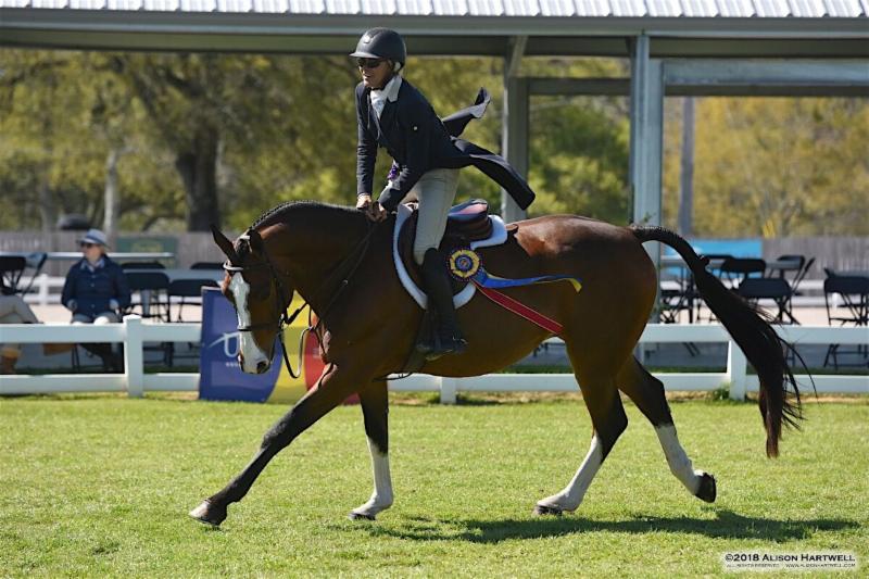 Holly Shepherd Reigns as Derby Queen Week V of the Gulf Coast Winter ...