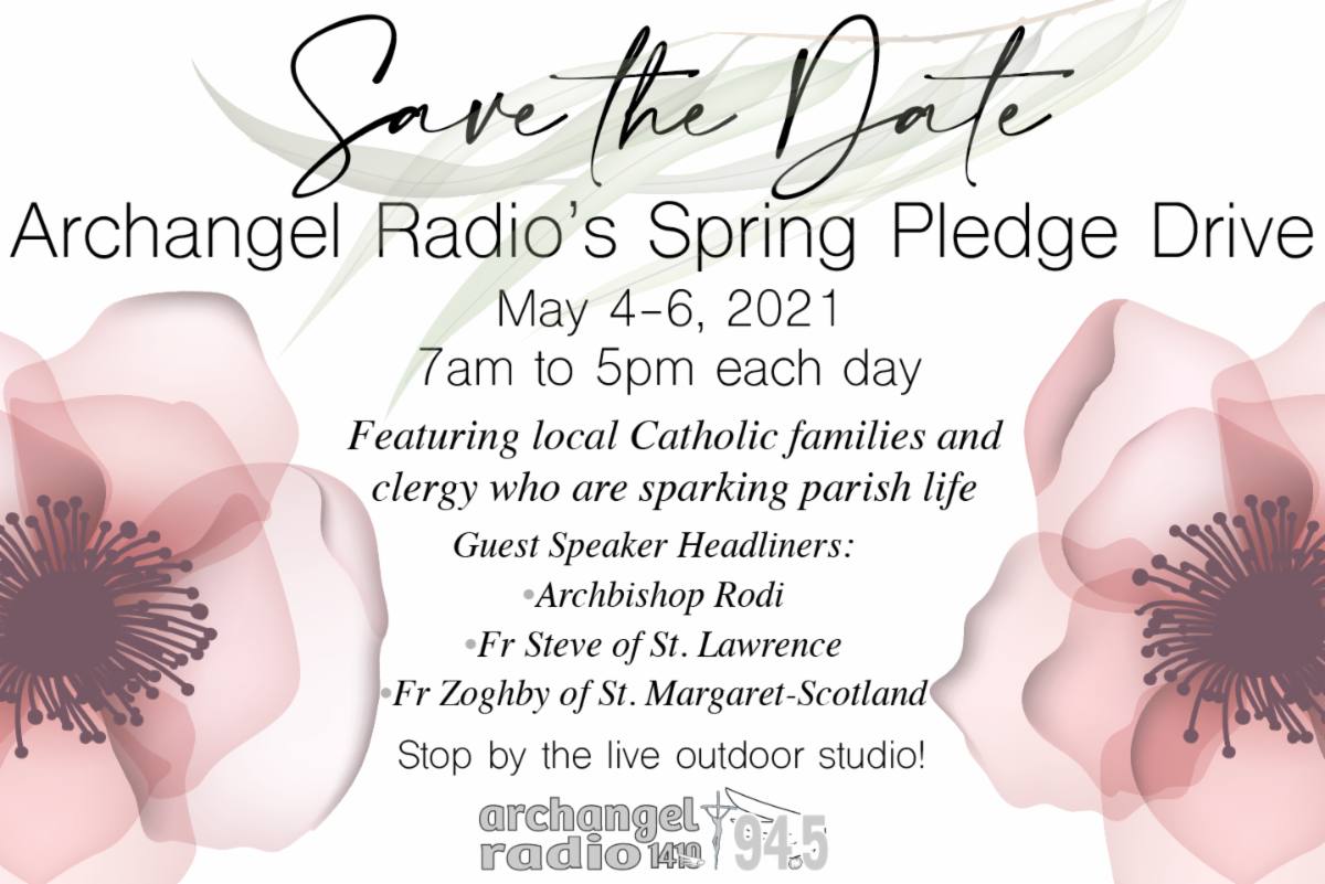 News from the Studio