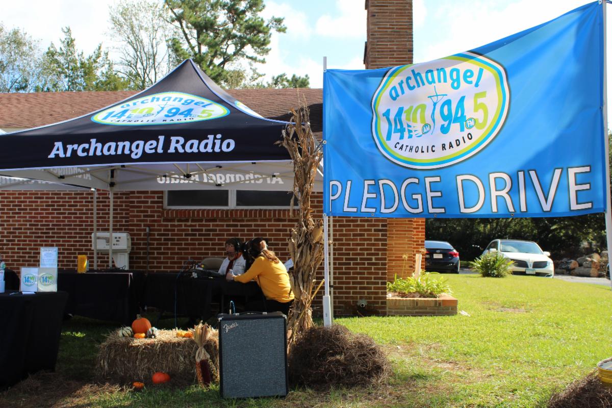 News from the Studio