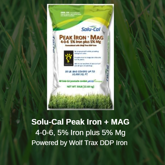 Keep it Green with Peak Iron from Solu-Cal