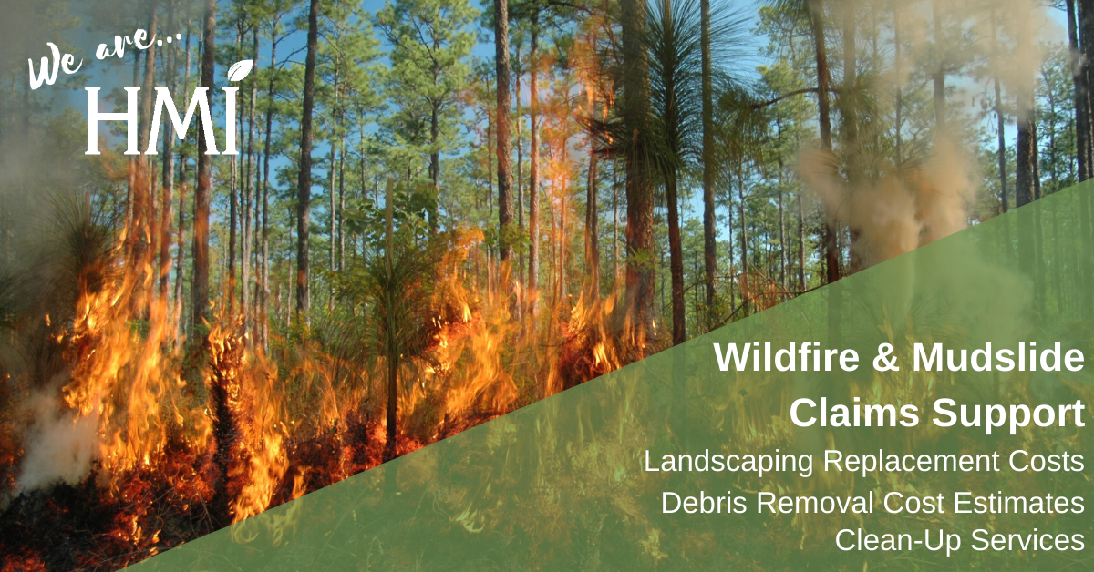 Wildfire Claims Support Available