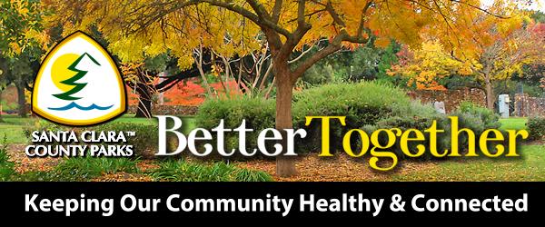 Fantasy of Lights Tickets on Sale NOW