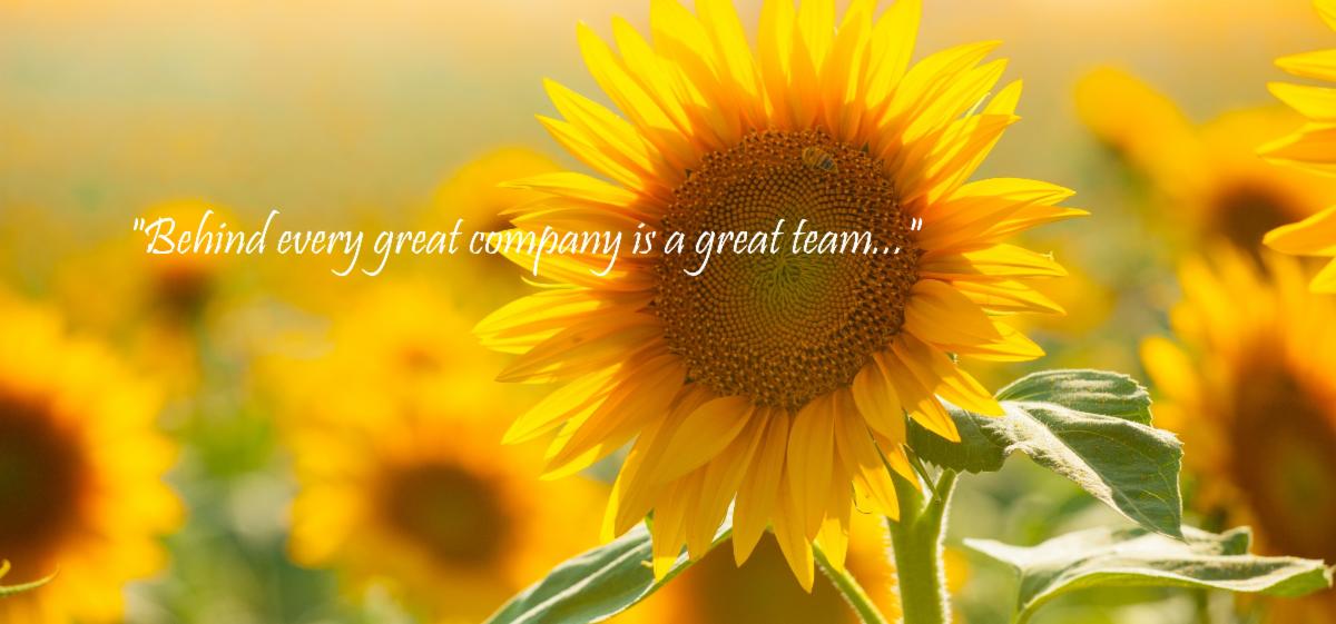 SolarCraft Employee Monthly Memo ~ May