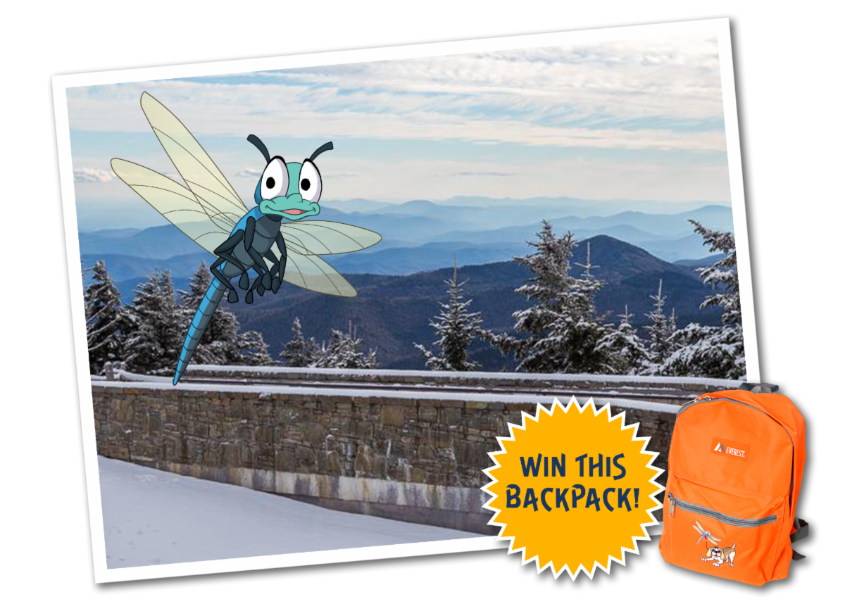 TRACK and KIP's Nature Journal