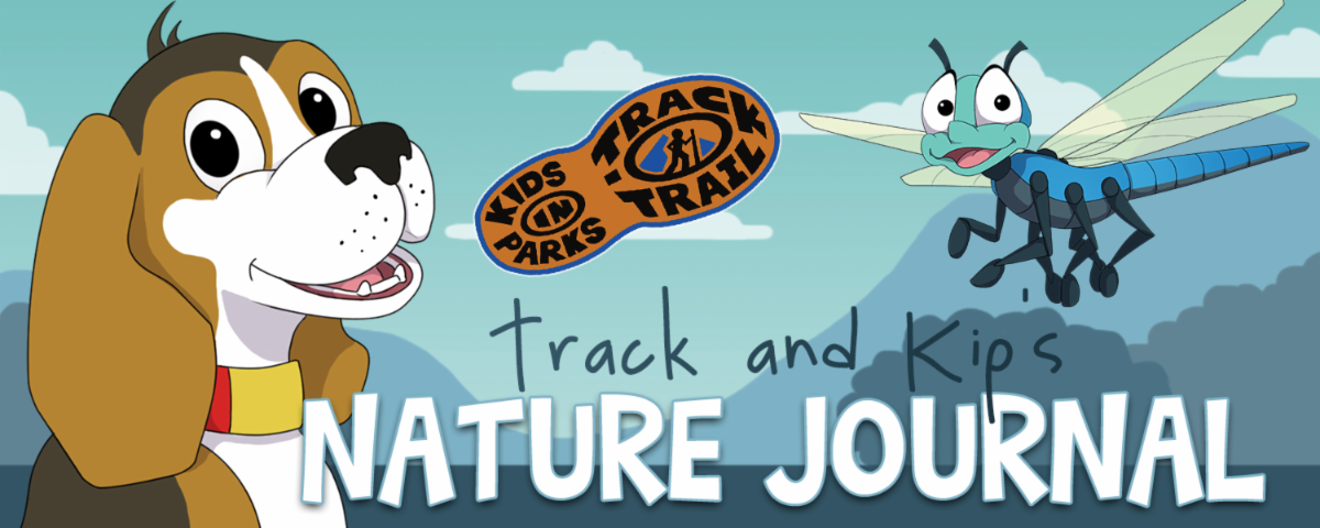 TRACK and KIP's Nature Journal