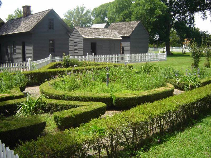 TRACK and KIP's Nature Journal