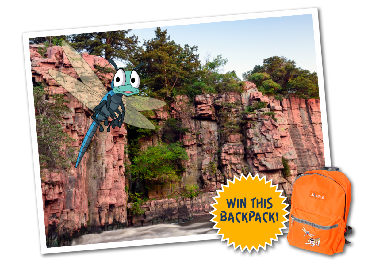 TRACK and KIP's Nature Journal