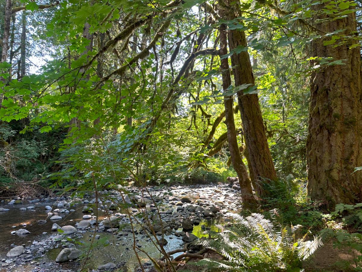 TRACK and KIP's Nature Journal