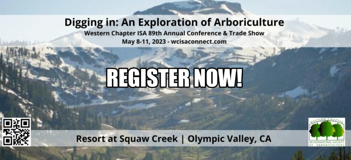 WCISA 5 Minute Update - February 2023