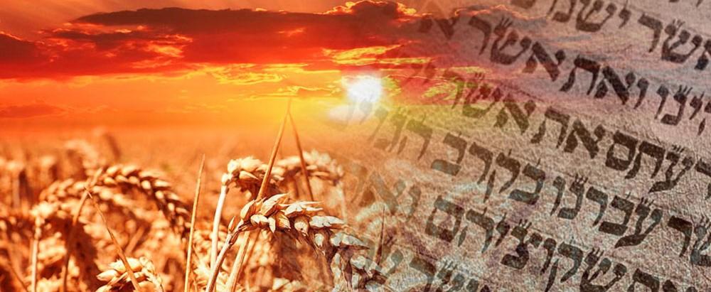 Shavuot at Beth El - June 11 - June 13