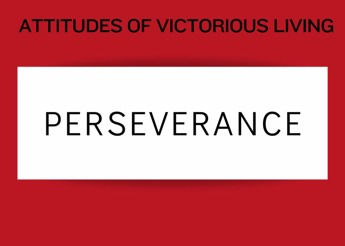 The Most Excellent Way December Newsletter