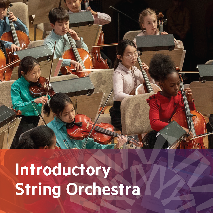 BYSO Launches Introductory String Orchestra for Young Strings Players ...