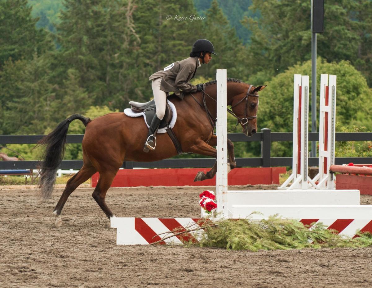 Don't miss out Region 4 AHA Offsite SPORT HORSE CHAMPIONSHIPS & One Day ...