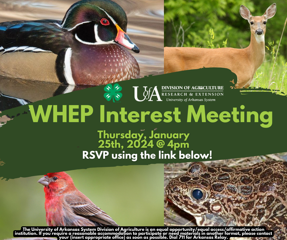 January Clover Circular