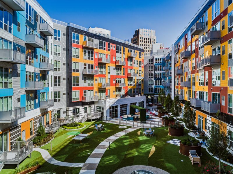 May/June Issue - The Pulse