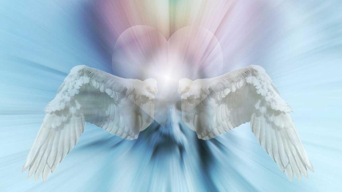 Incarnated Angels are angelic souls who came here to have a human ...