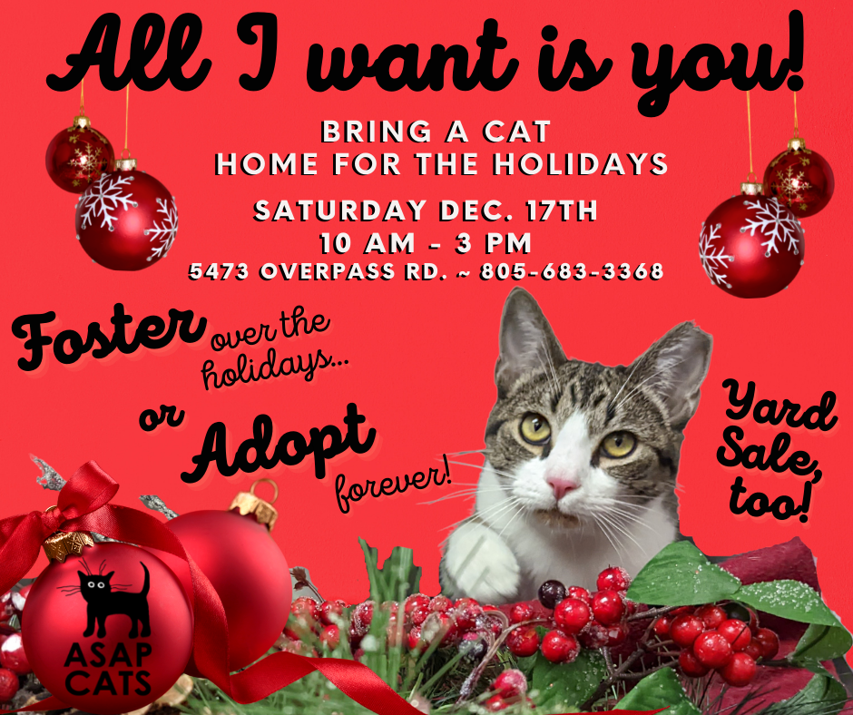 Animal Shelter Assistance Program