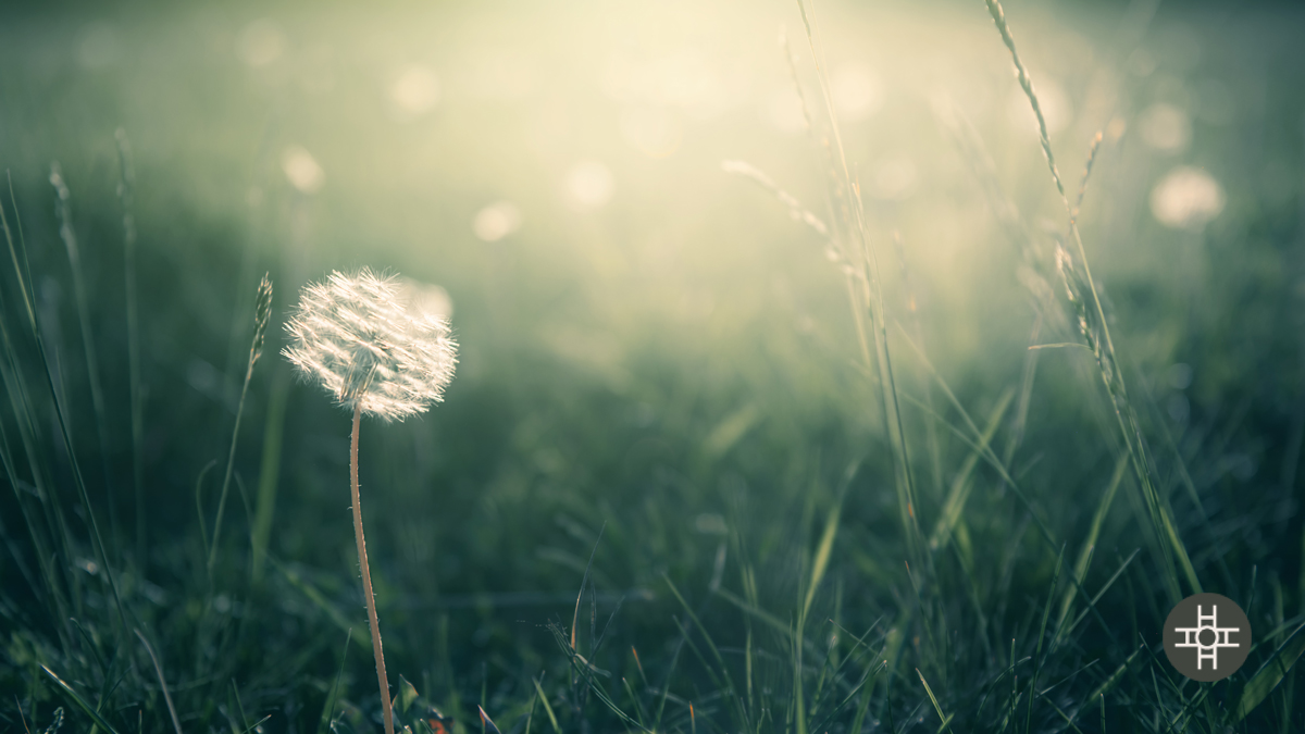 Follow-Up on Course Content and Flow