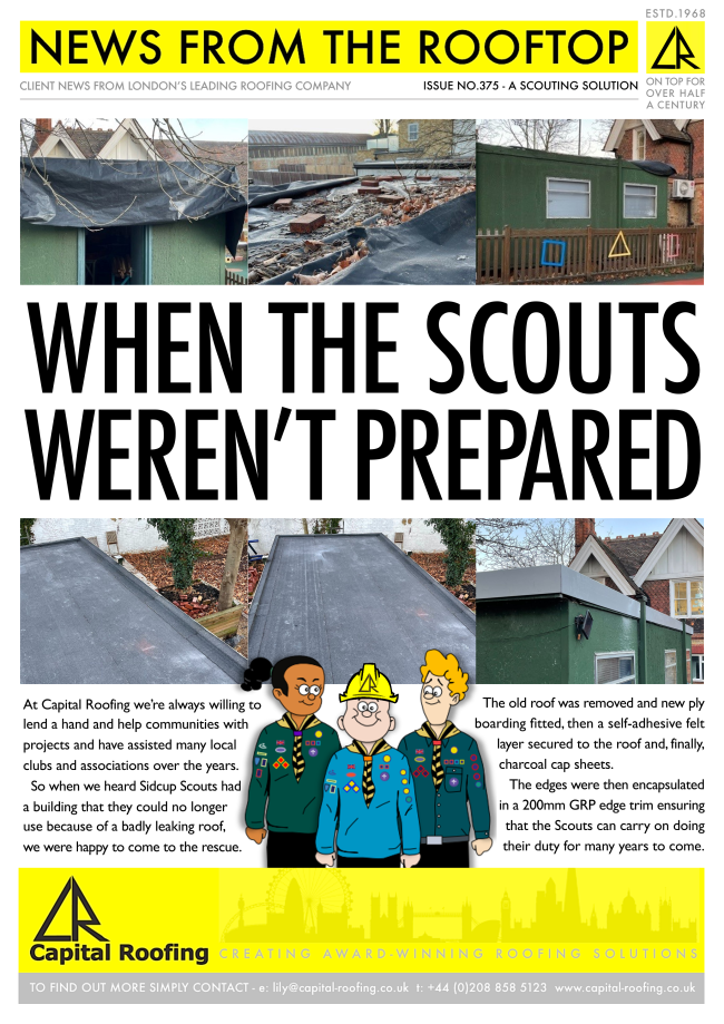 Issue No 375- A Scouting Solution