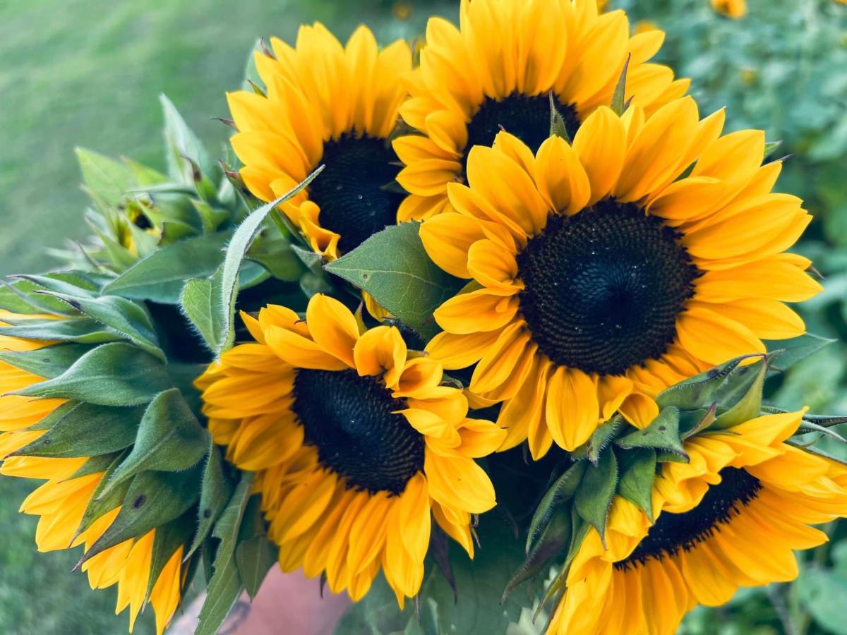 Get a head start on summer with a trip to Lewis County!